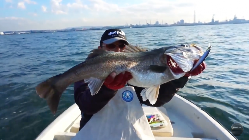 Deeper2 | 株式会社Baltic Vision